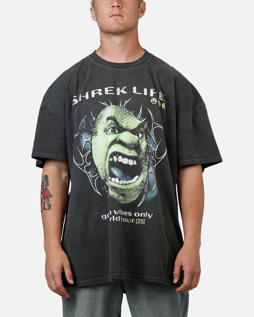 73 Studio X Shrek Rave Vintage T-Shirt Black Wash | Culture Kings US